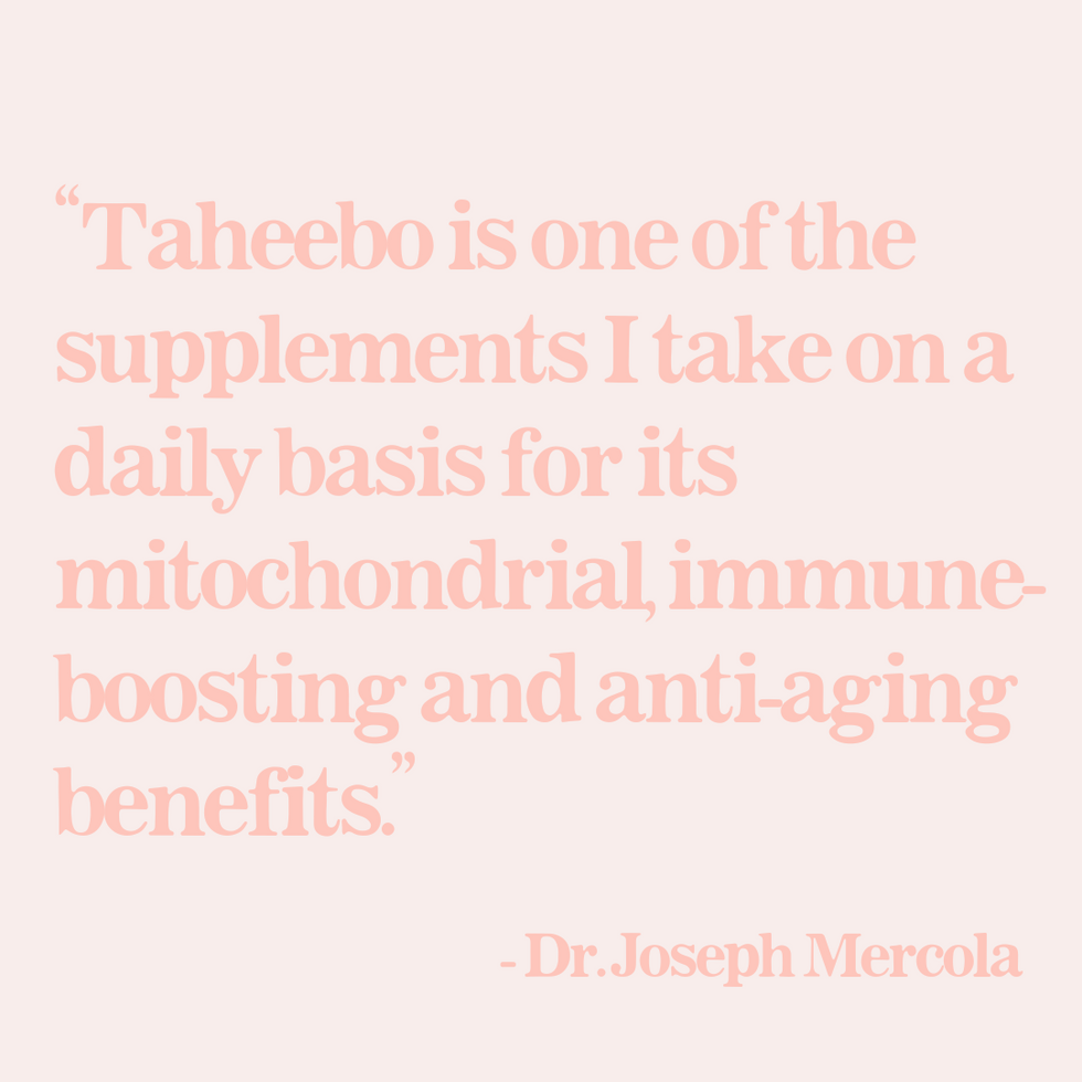 Taheebo Wellness Tea | Pau d’Arco Herbal Tea for Immune Support